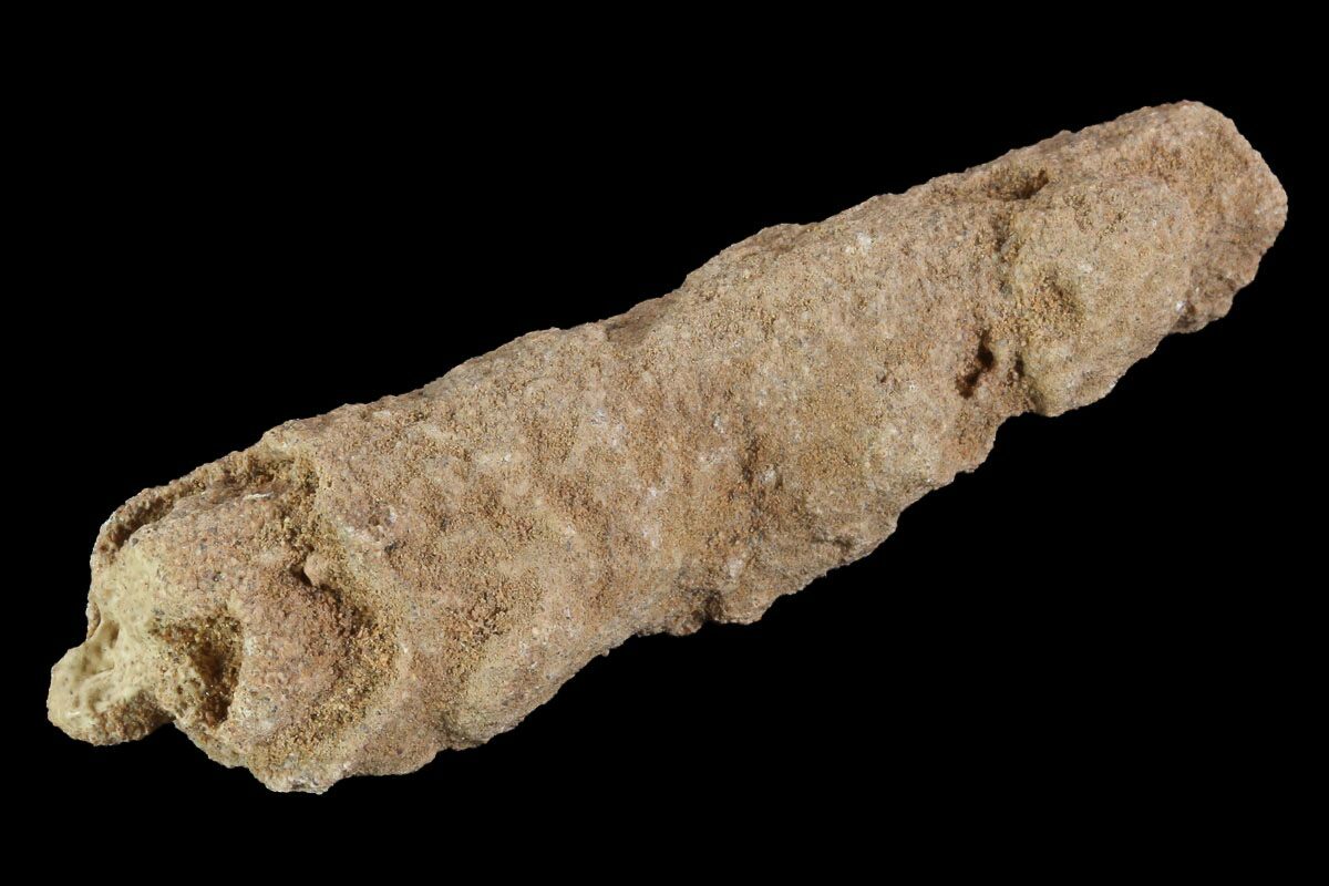 Fulgurites For Sale - FossilEra.com