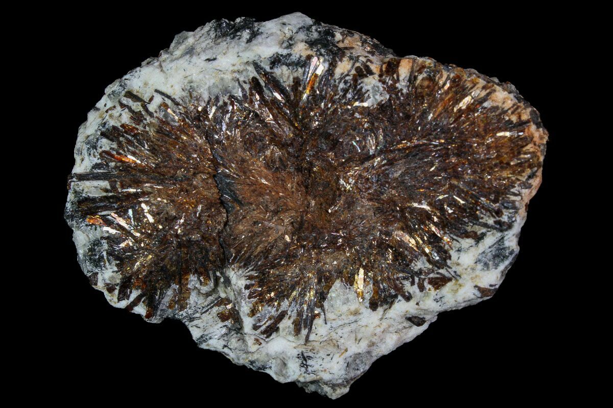 Lamprophyllite For Sale - FossilEra.com