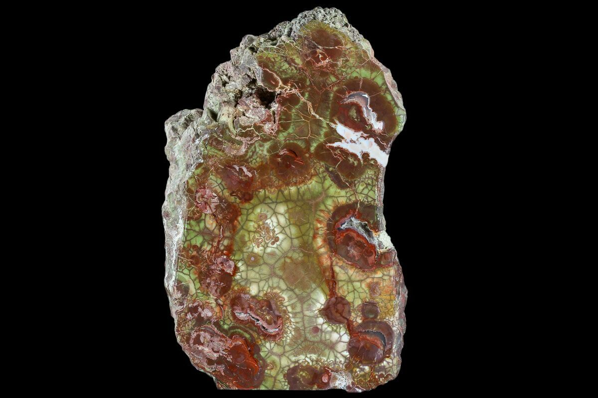 Spiderweb Jasper For Sale - FossilEra.com