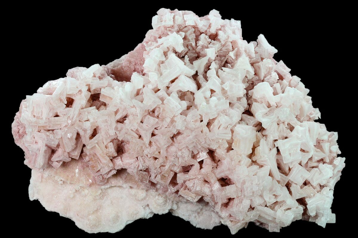 Halite For Sale - FossilEra.com