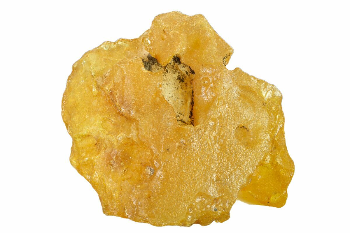 Colombian Amber & Copal For Sale - FossilEra.com
