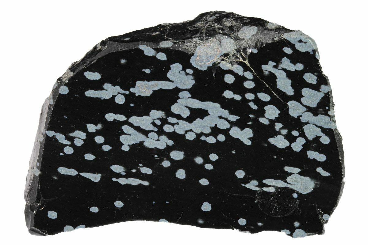 Snowflake Obsidian For Sale - FossilEra.com