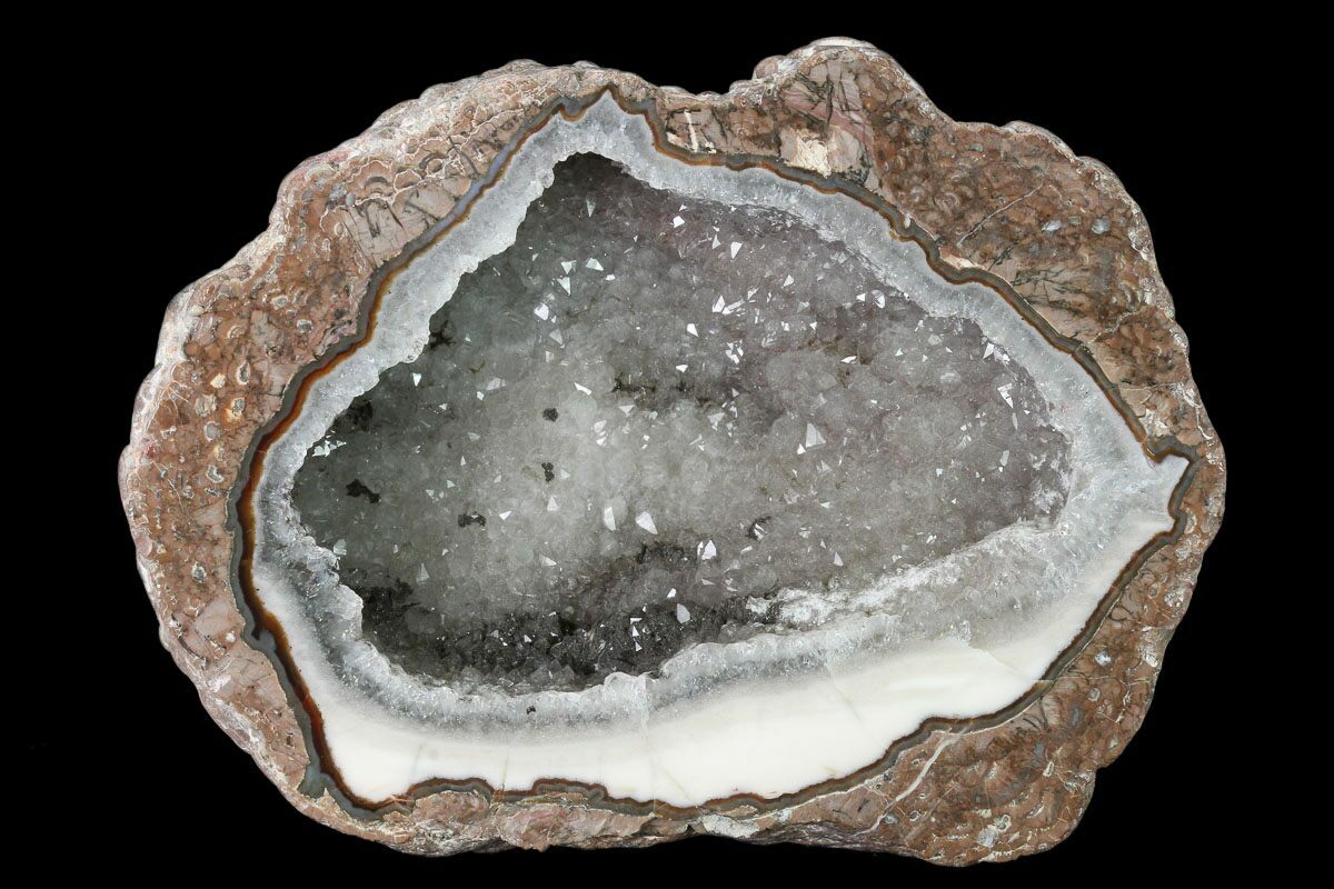 Baker Ranch Thundereggs For Sale - FossilEra.com