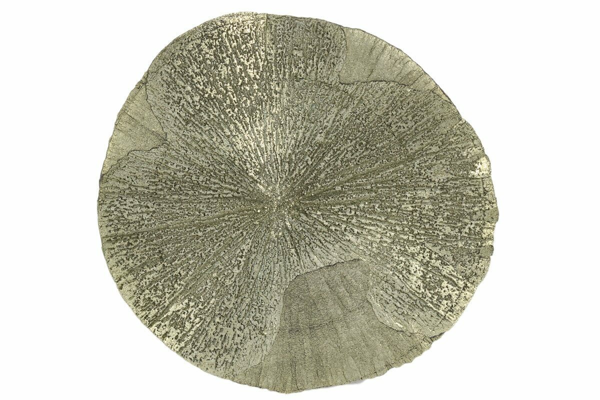 Pyrite Suns For Sale - FossilEra.com