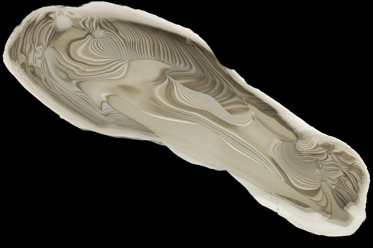 Striped Flint For Sale - FossilEra.com