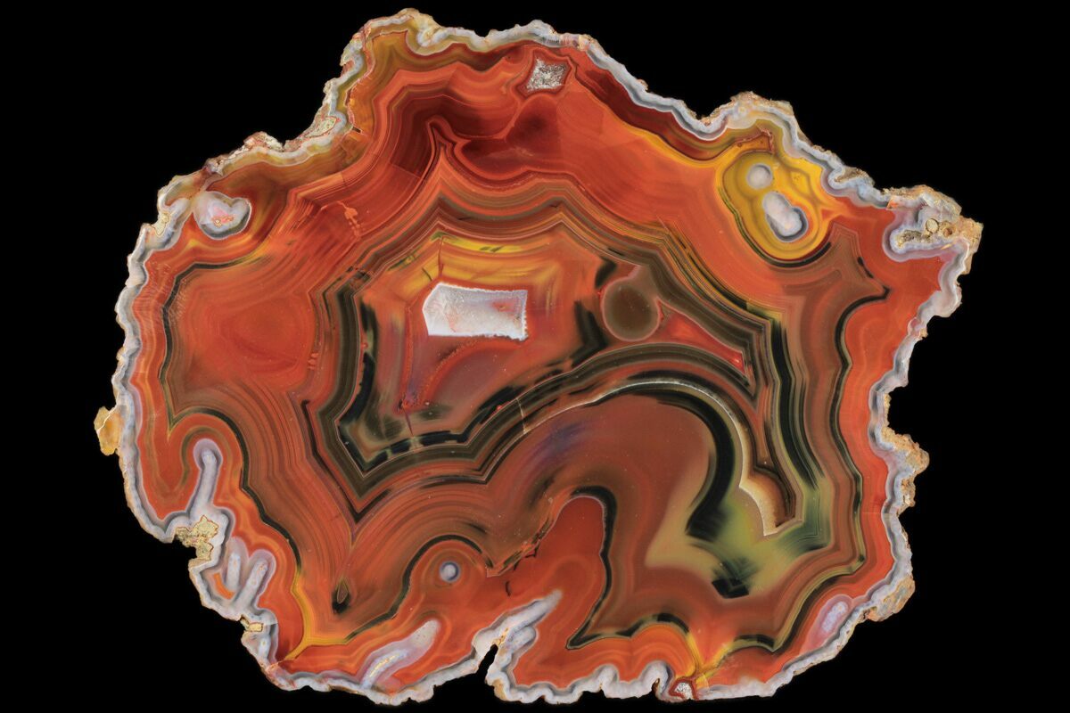 Condor Agates For Sale - FossilEra.com